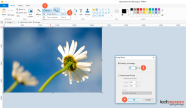 How to Bulk Resize Images in Windows: Free Batch Resizer