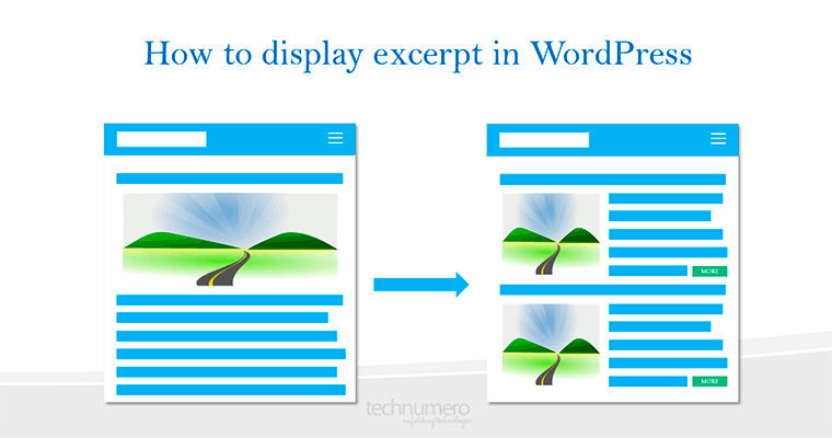 How to Display Excerpt in WordPress Front Page | TechNumero