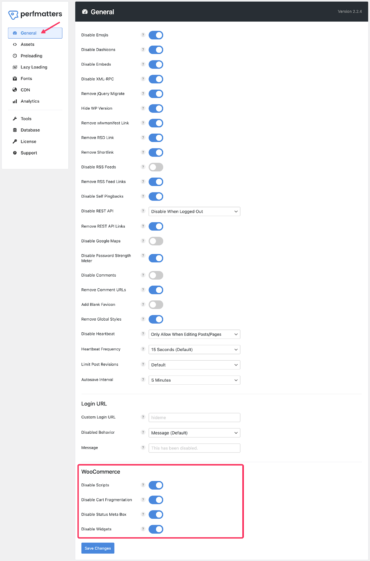 Best Perfmatters Settings to Boost WordPress Speed - 2024