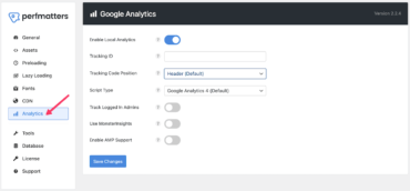 Best Perfmatters Settings to Boost WordPress Speed - 2024