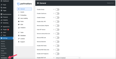 Best Perfmatters Settings to Boost WordPress Speed - 2024