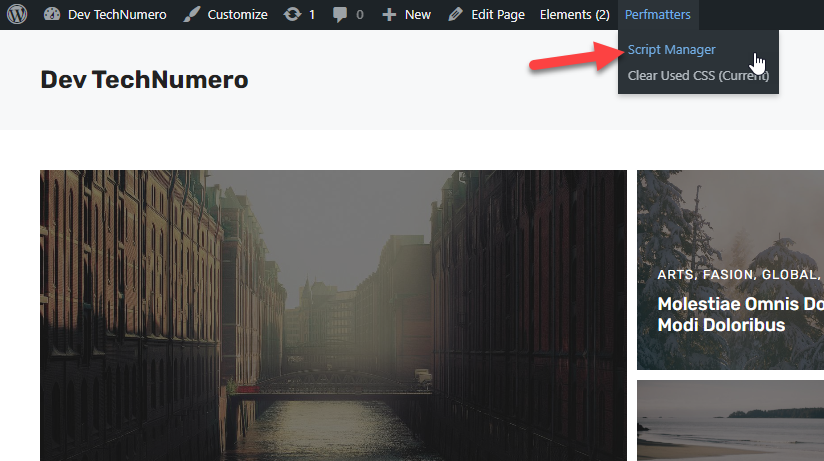 Best Perfmatters Settings for Faster WordPress: 2025 Guide