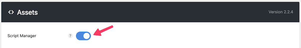 Best Perfmatters Settings to Boost WordPress Speed - 2024