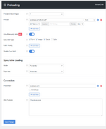 Best Perfmatters Settings for Faster WordPress: 2025 Guide