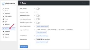 Best Perfmatters Settings to Boost WordPress Speed - 2024